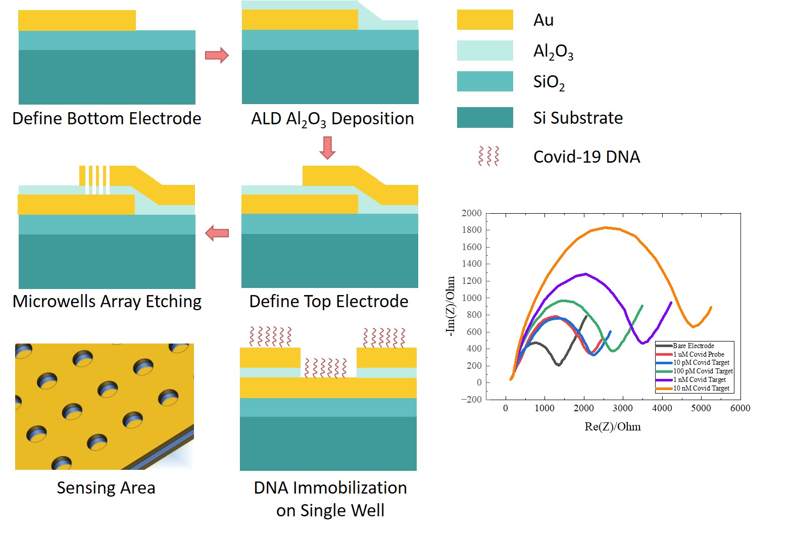 Development of Metal-Oxide-Metal Micro-Well Array Biosensors for Highly Sensitive Detection of ...
