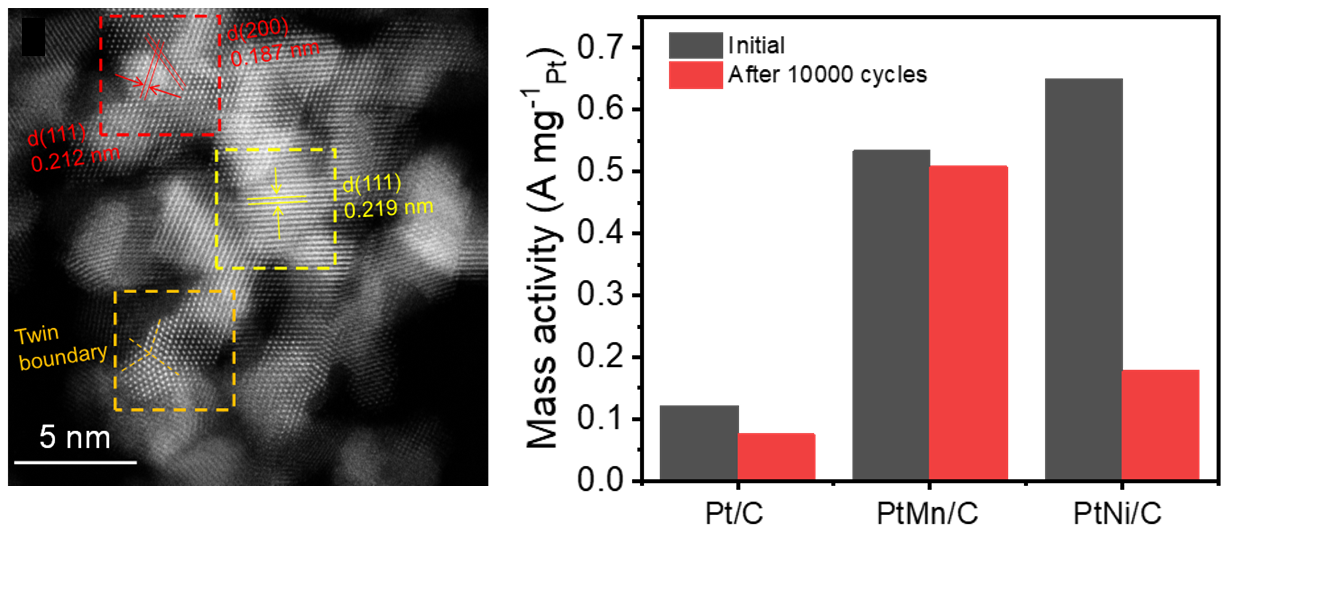 Low-Electronegativity Mn-Contraction of PtMn Nano-Dendrite Boosts ...