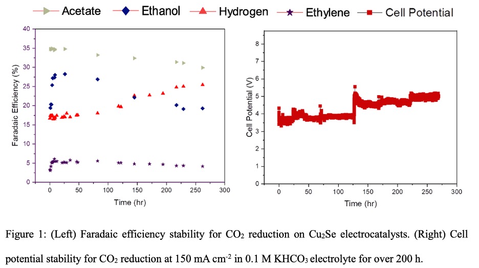 Selectivity and Durability in the Electrochemical Reduction of CO2 to ...