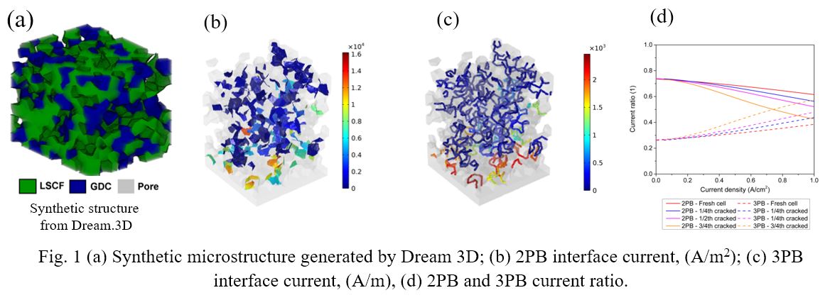 Evolution of 2PB/3PB Transport Pathways in Oxygen Electrodes during ...