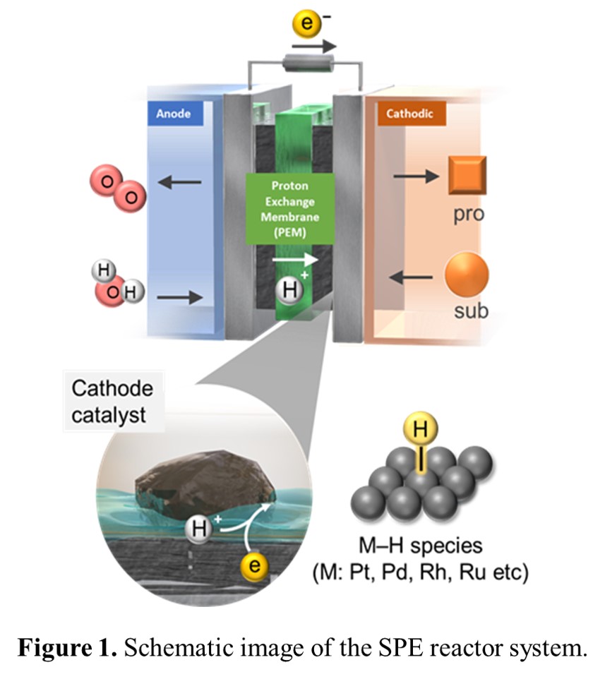 Novel Electrocatalytic Hydrogenation Using a Solid Polymer Electrolyte ...