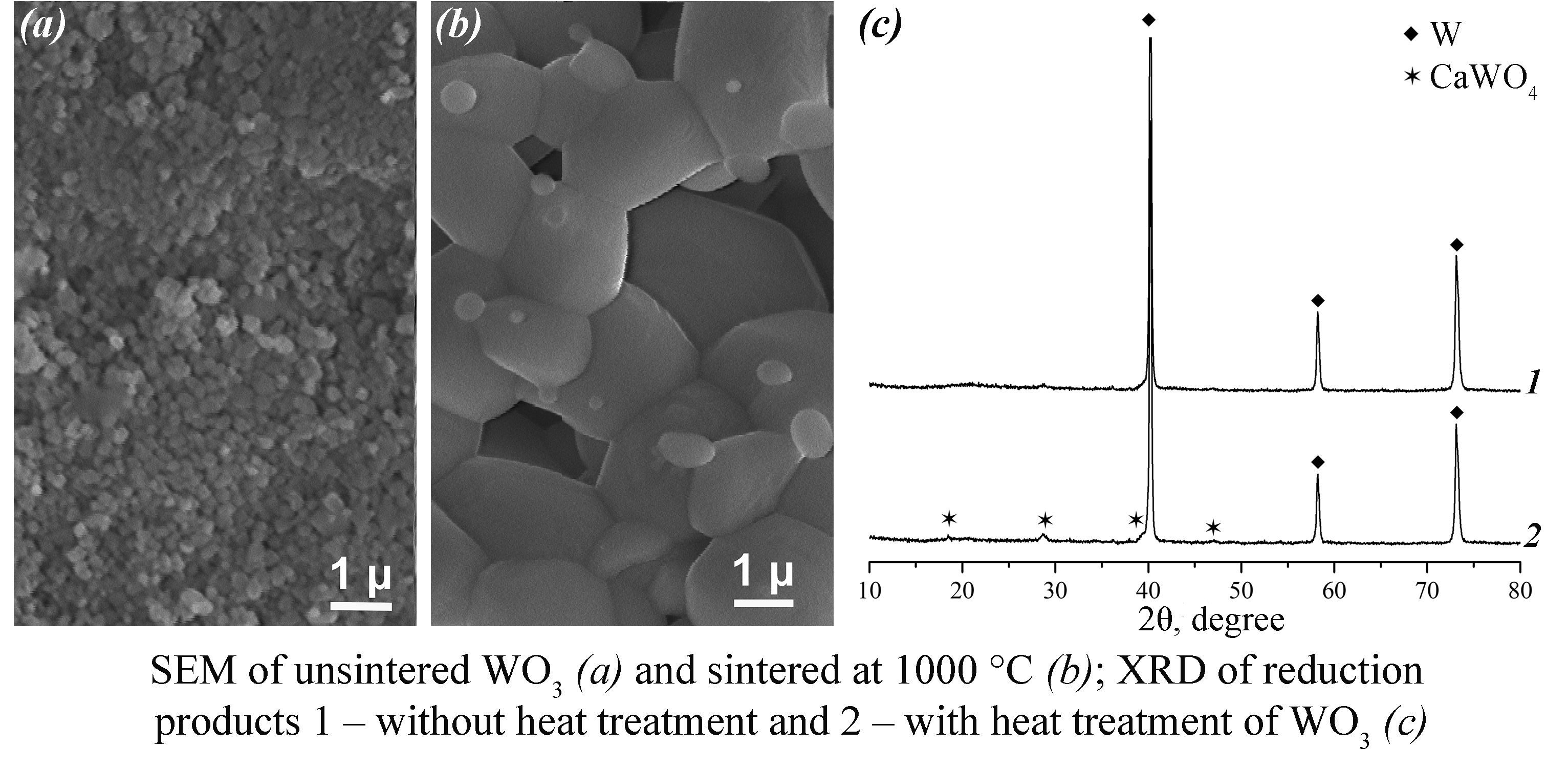 (Digital Presentation) The Effects of Heat Treatment on ...