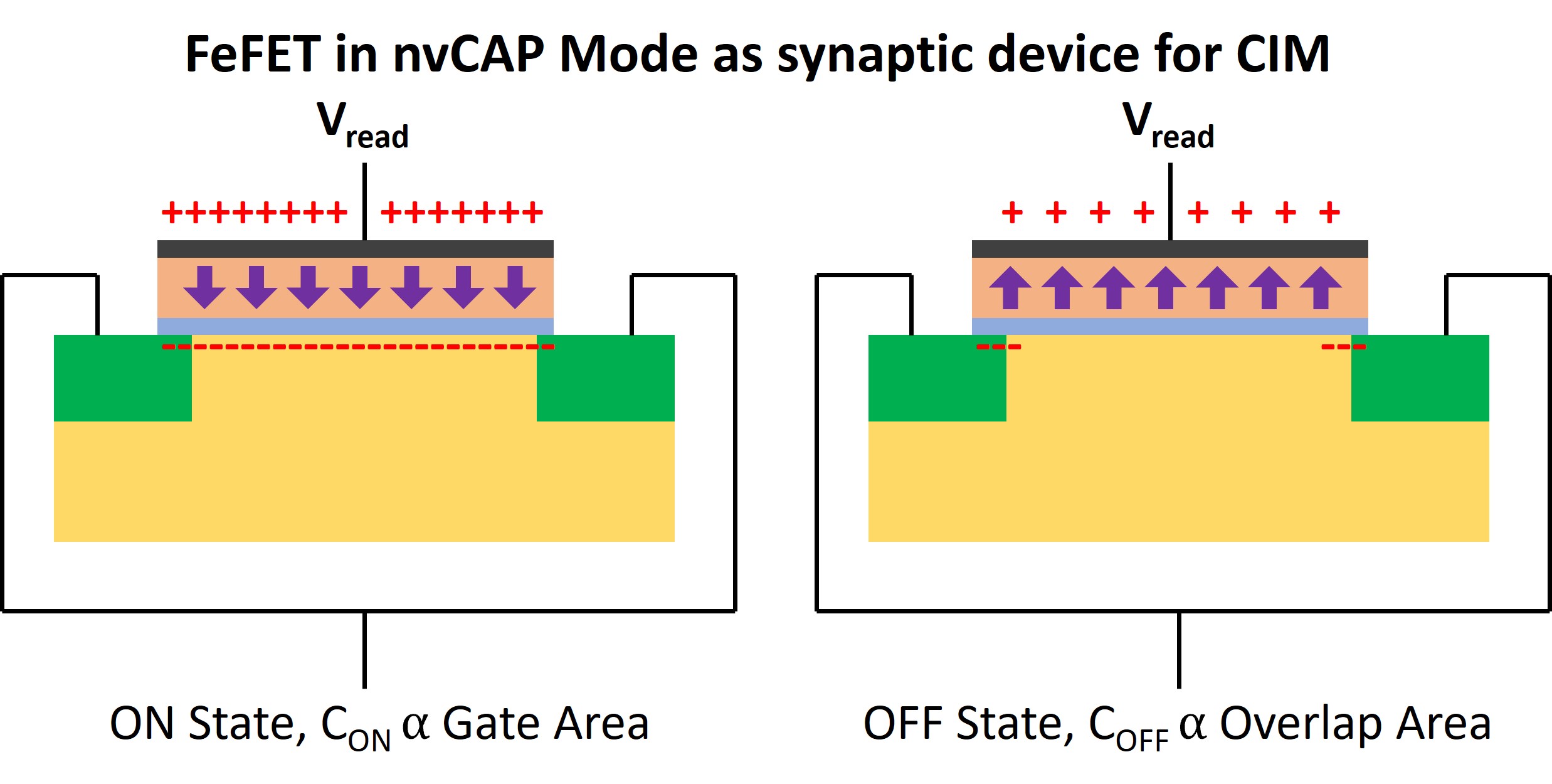 (Invited) Ferroelectric Nonvolatile Capacitive Synapse for Charge ...