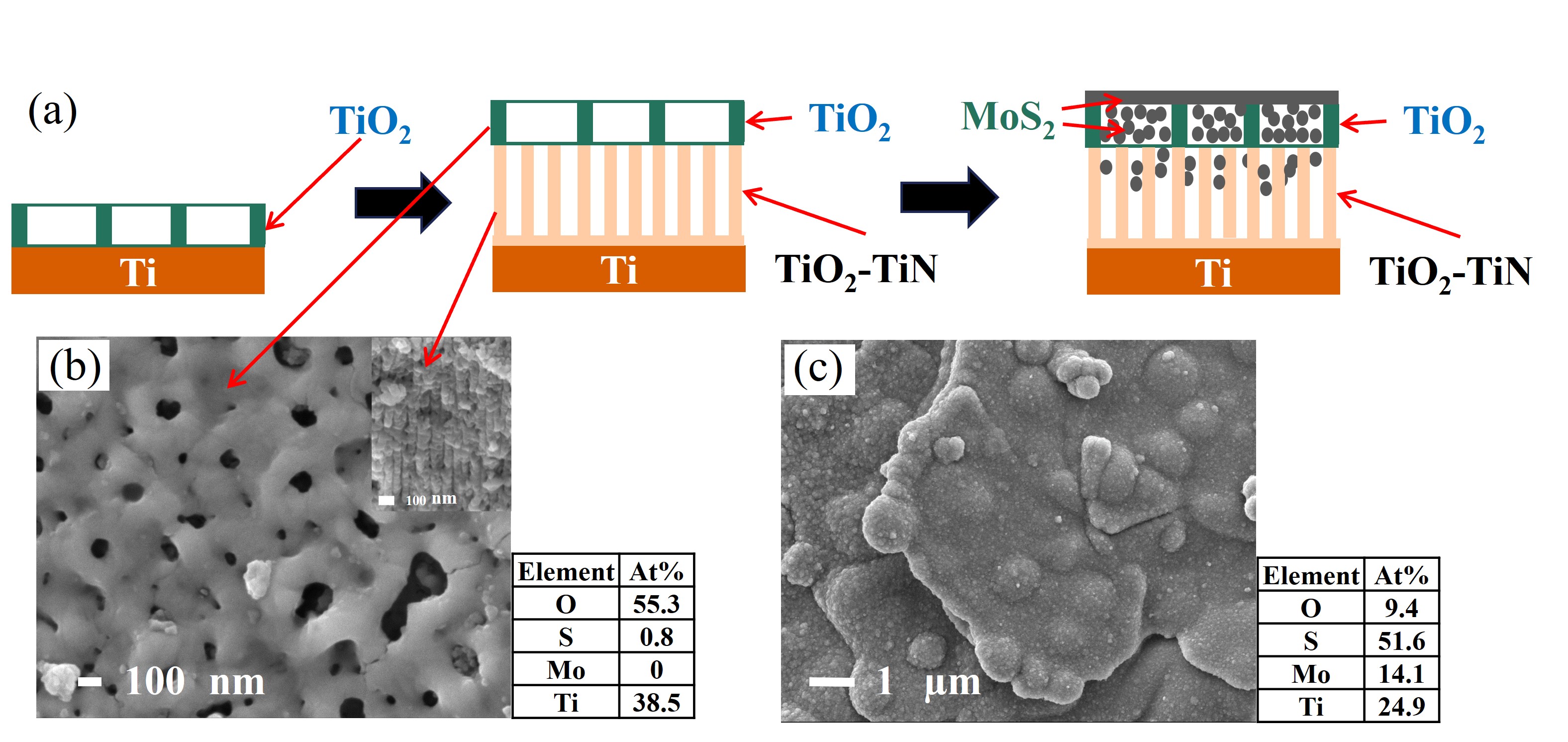 Fabrication and Multi-Functional Performance of TiO2/TiO2-TiN/MoS2 Composite Films on Ti through ...