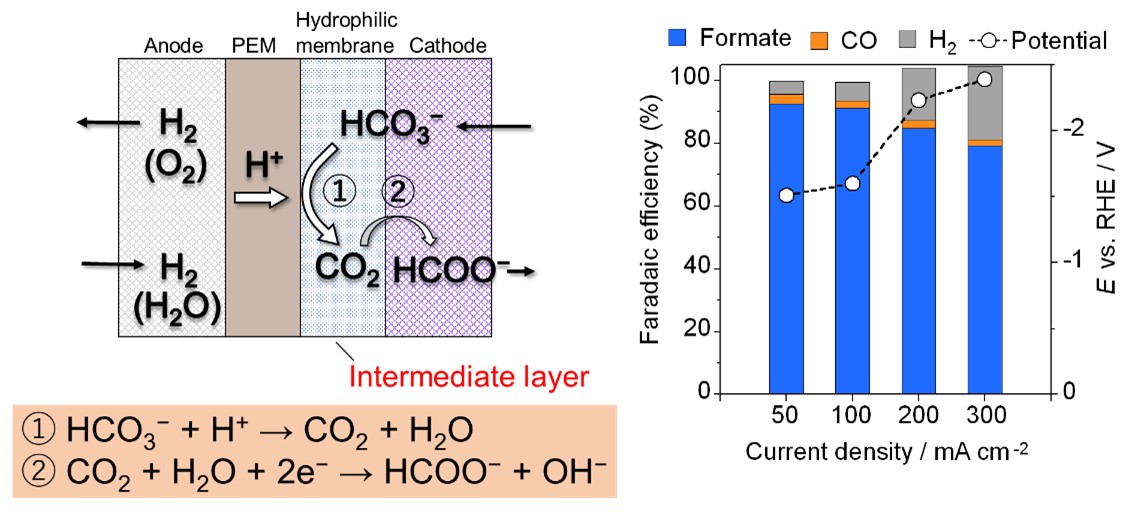 Selective Reduction of Bicarbonate to Formate Via in-Situ Generated CO2 ...