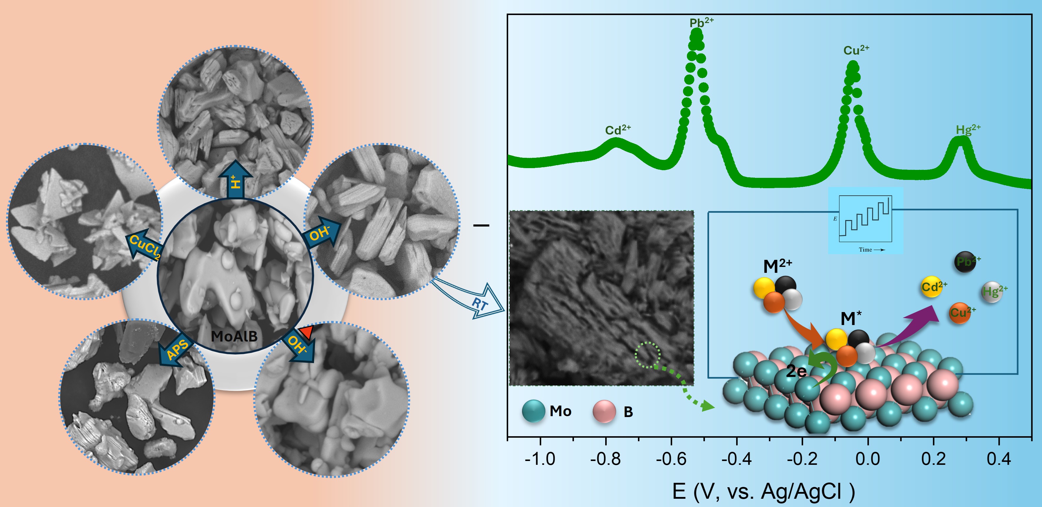 (Digital Presentation) 2D Transition Metal Borides: Different Etchants ...