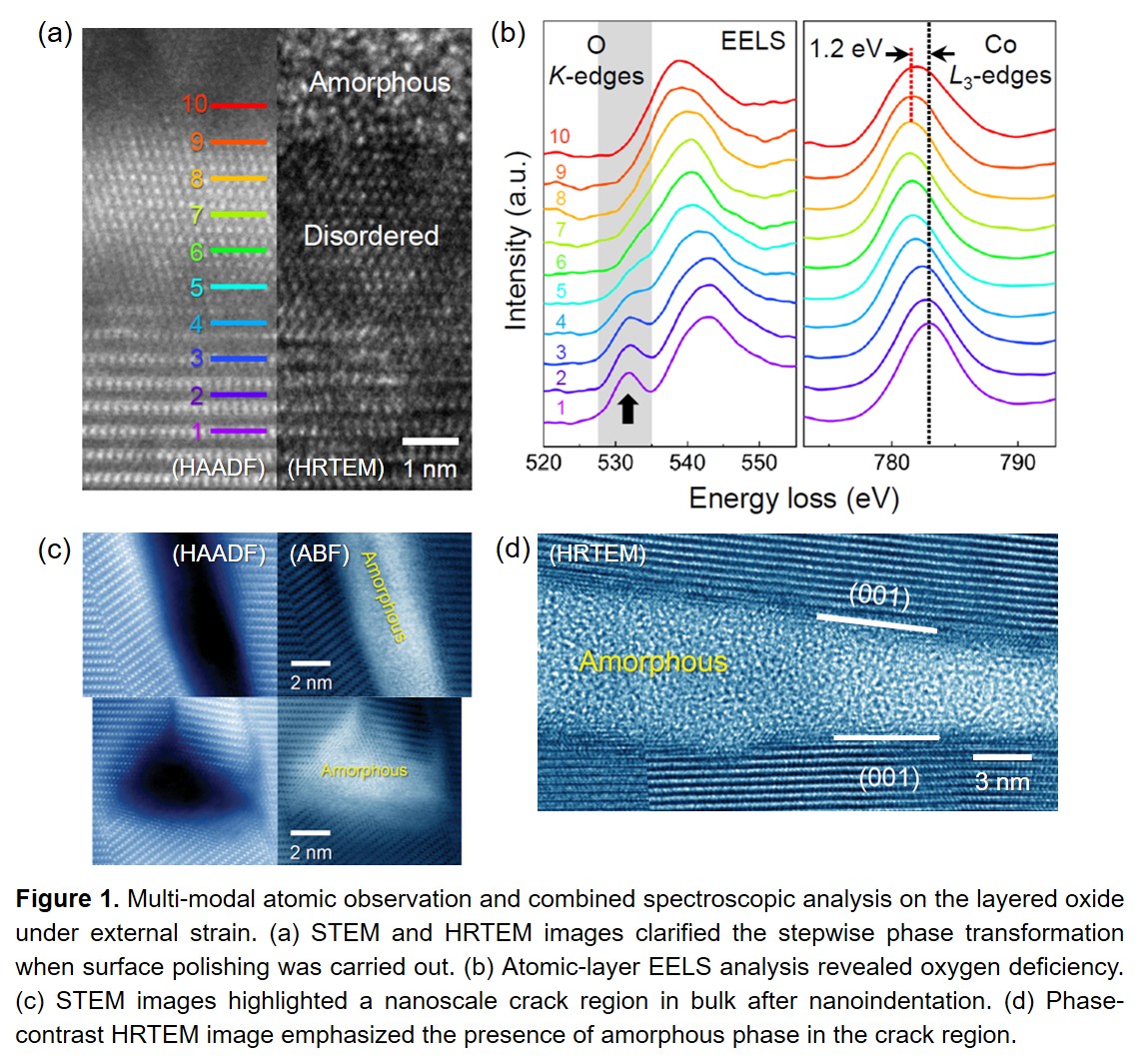 Multi-Modal Atomic Observation of Oxygen Loss in Layered Oxides Under ...