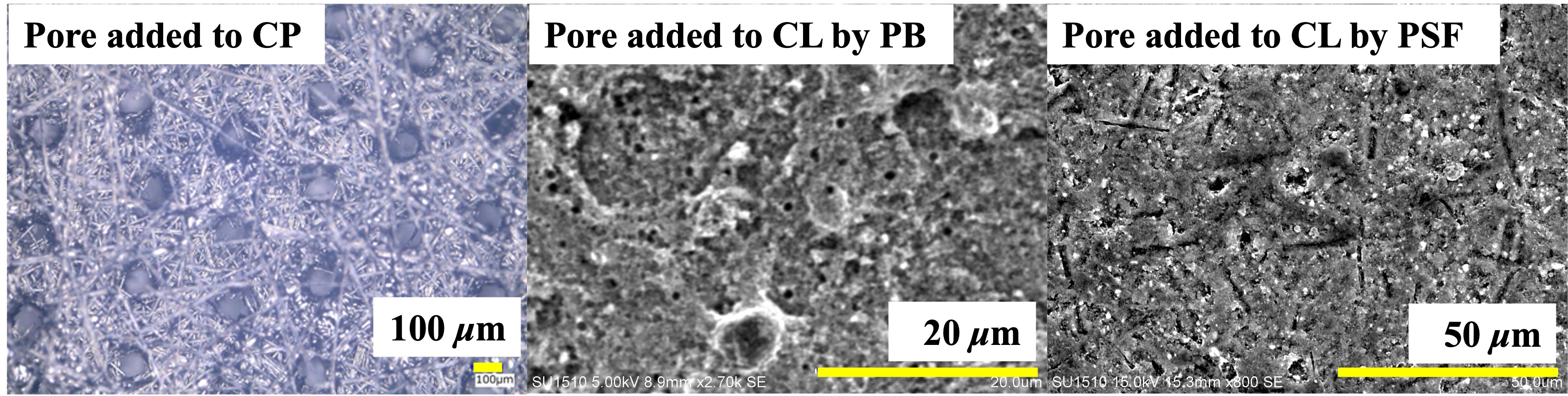 Pore Designing for the Anode Porous Electrode of the Direct Formic Acid ...