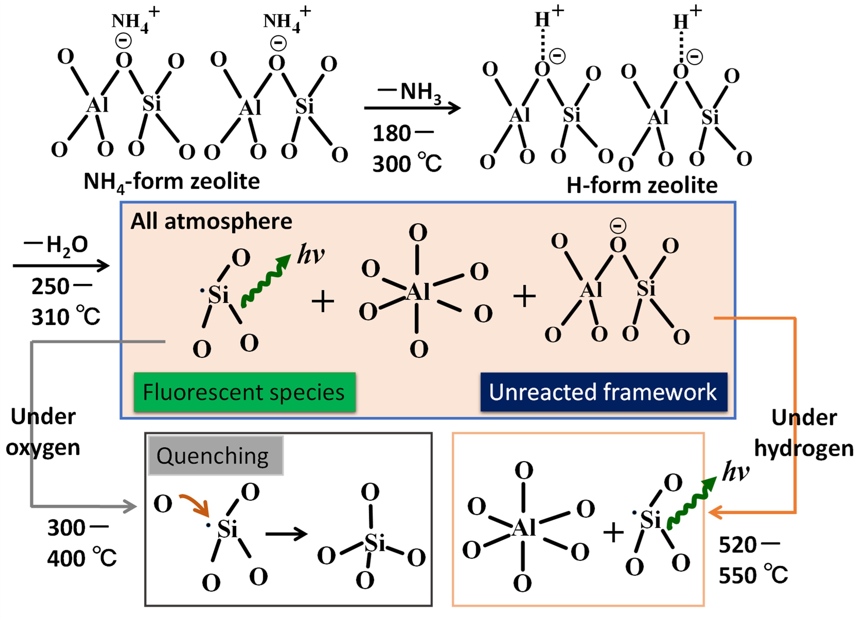 Study on the Production Mechanism of Fluorescent Species and Its ...