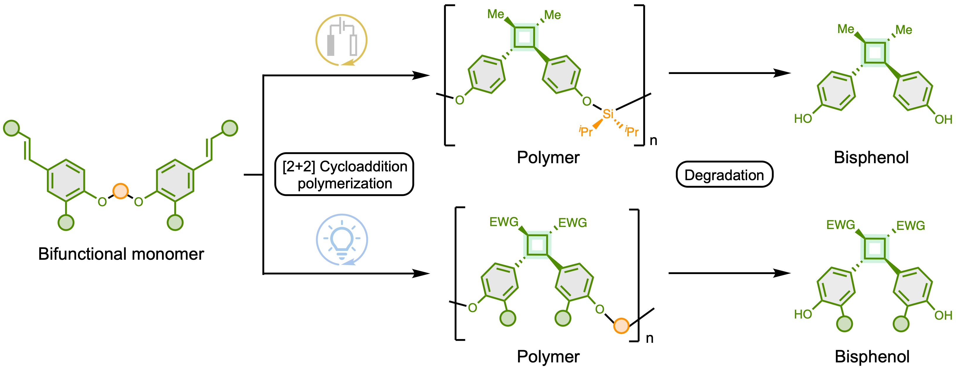 Synthesis of Degradable Polymers Containing Phenylpropanoid Skeleton ...
