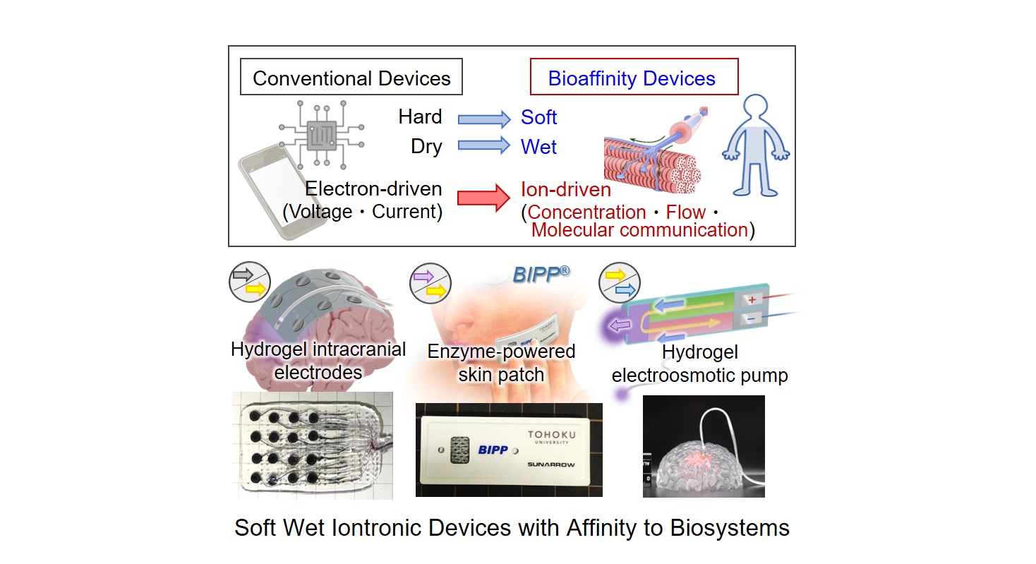 (Keynote) Soft Wet Iontronic Devices with Affinity to Biosystems ...