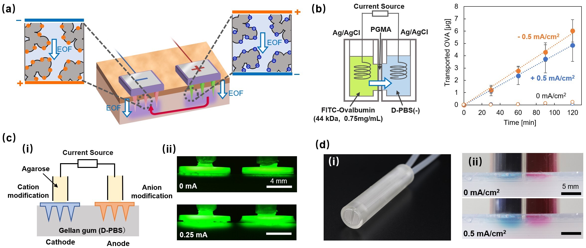 Dual-Mode Drug Delivery By Electroosmotic Flow with Bipolar Porous ...