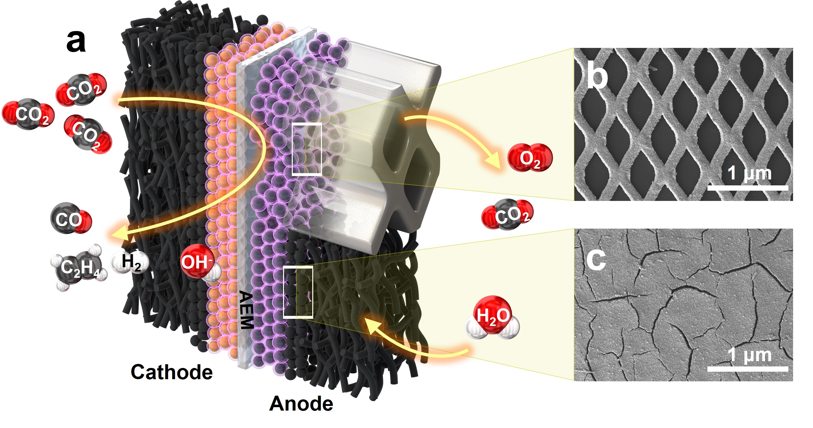 The Effects of Water and Ion Management for Modulate CO2 Reduction ...