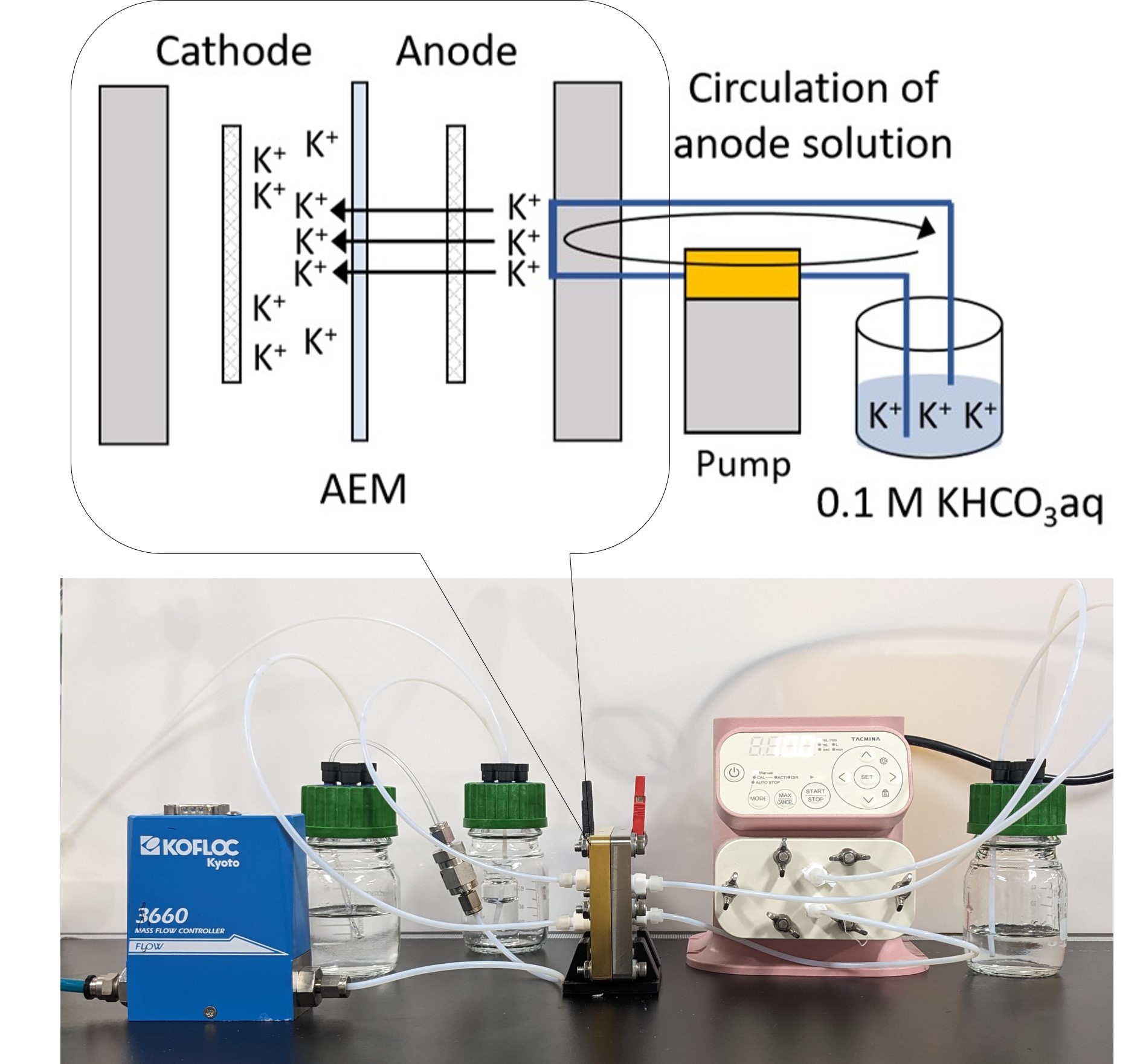 Quantitative Analysis and Manipulation of Alkali Metal Cations at the ...