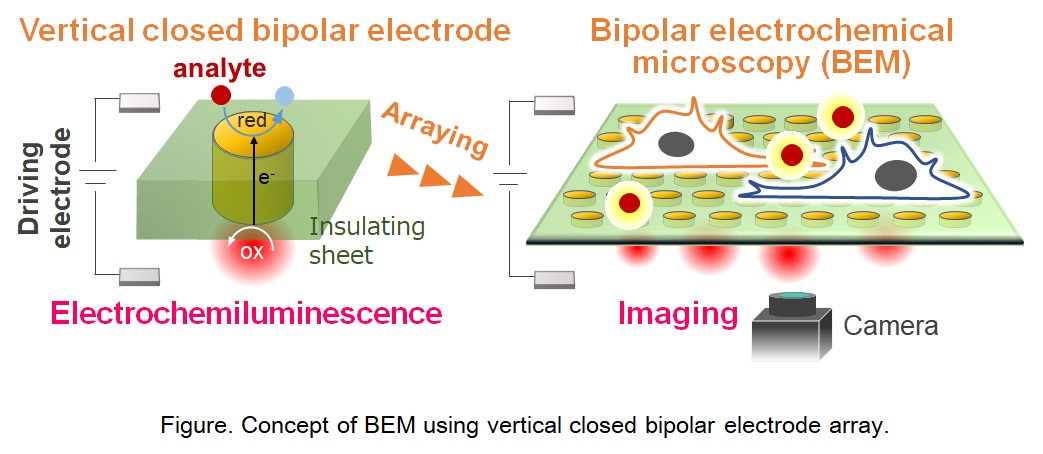 (Invited) Development of Bipolar Electrochemical Microscopy for High ...