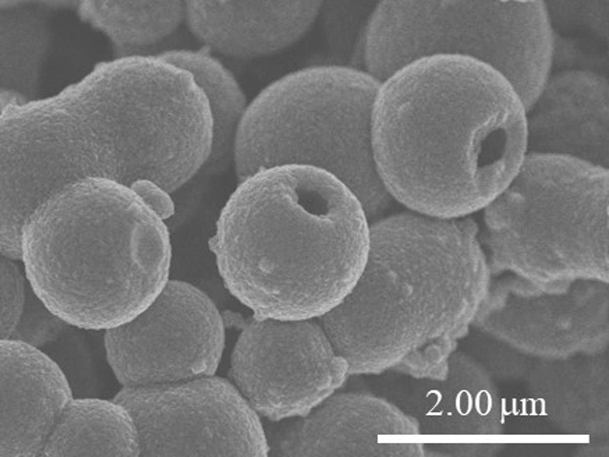 Preparation of Spherical Hollow Particles from Polyaniline Derivatives ...