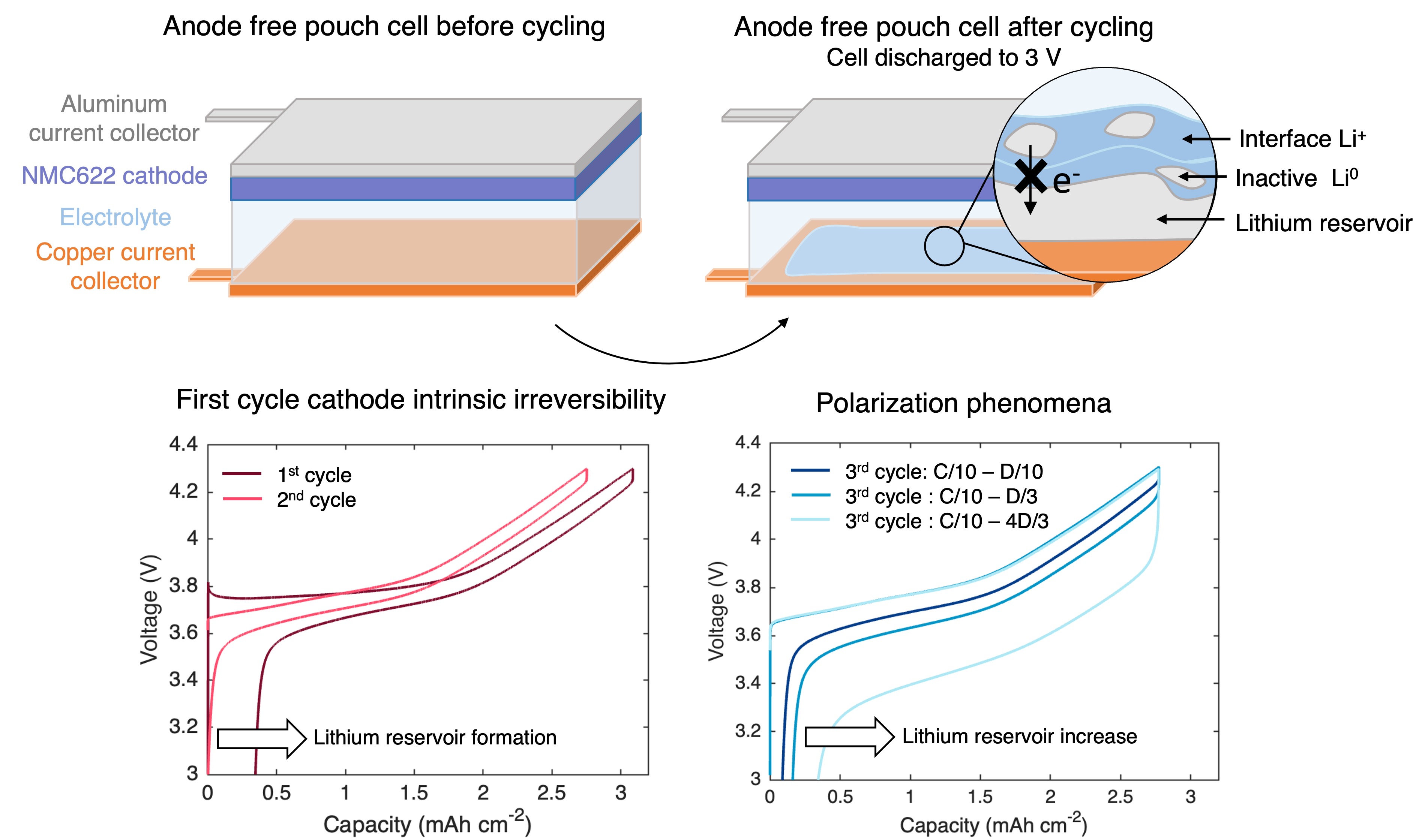 Deciphering the Impact of the Active Lithium Reservoir in Anode-Free ...