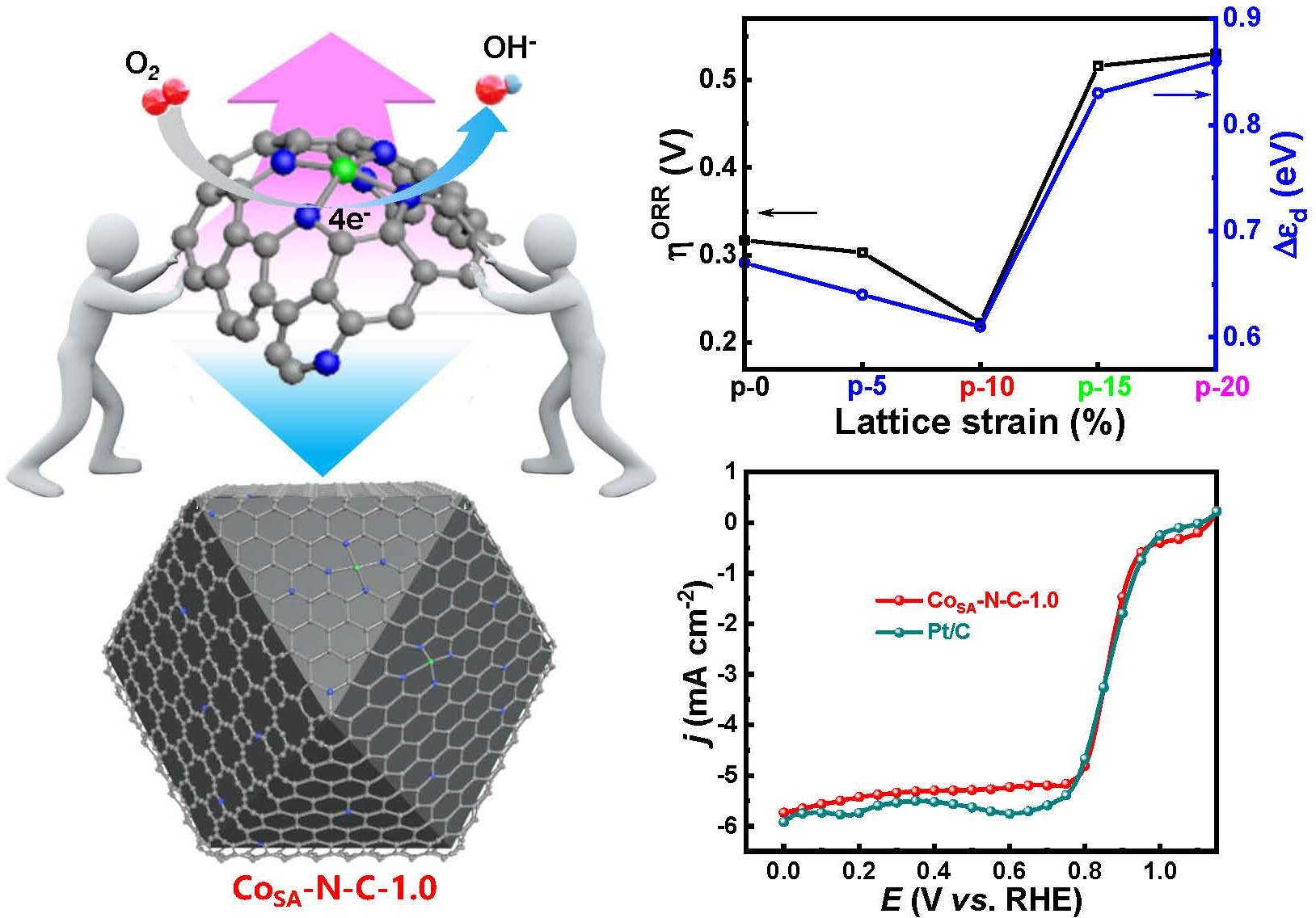 Exploring Curvature-Induced Strain Engineering in Cobalt Single-Atom ...