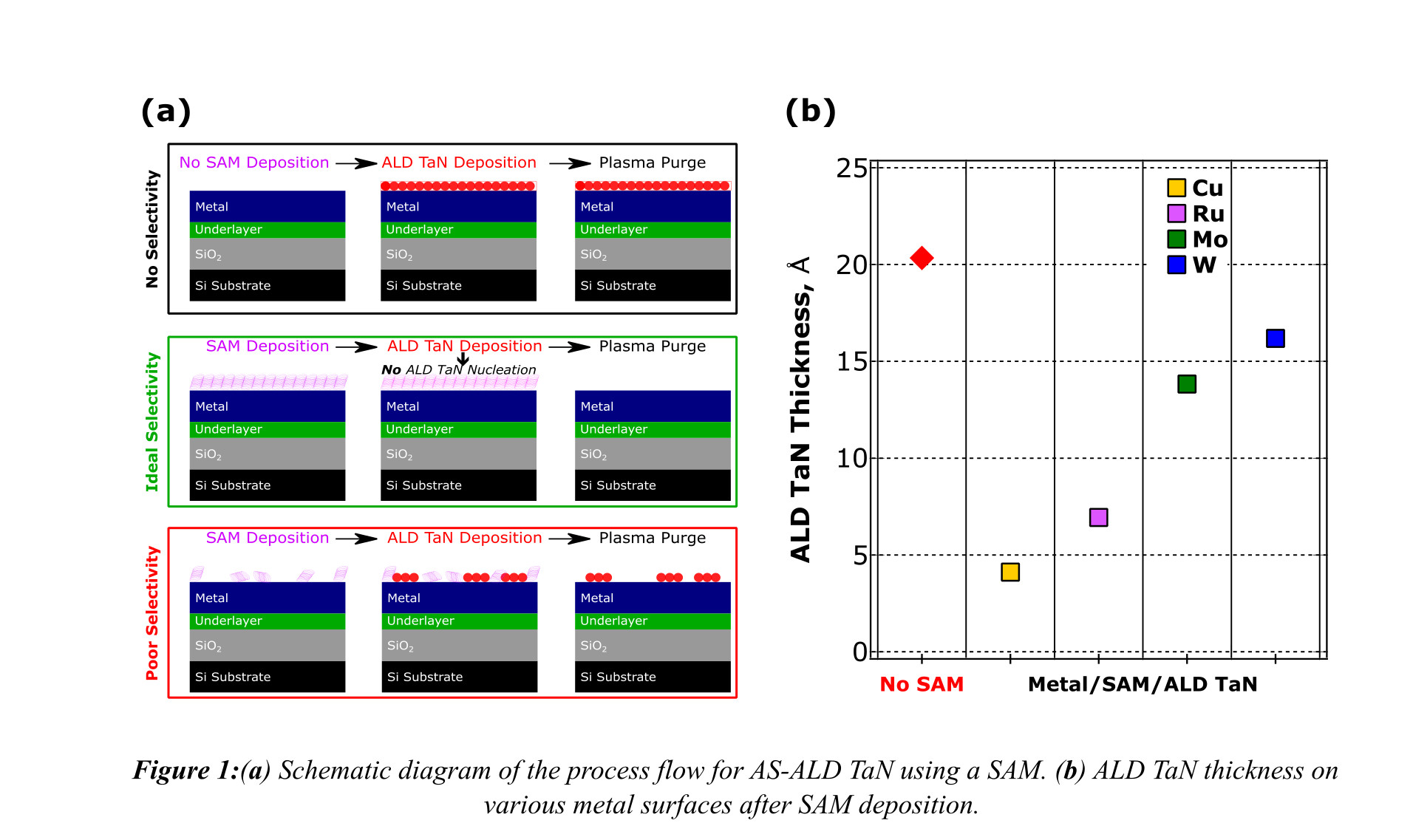 Area Selective ALD Barriers Using Self-Assembled Monolayers on Various ...