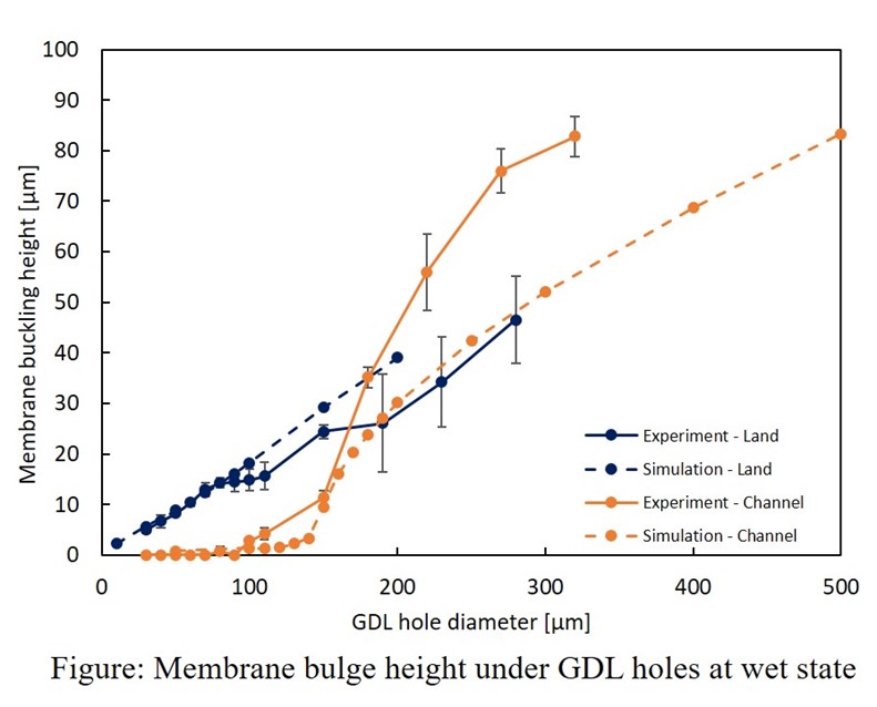 Analysis of Fuel Cell Membrane Buckling into Gas Diffusion Layer Holes ...