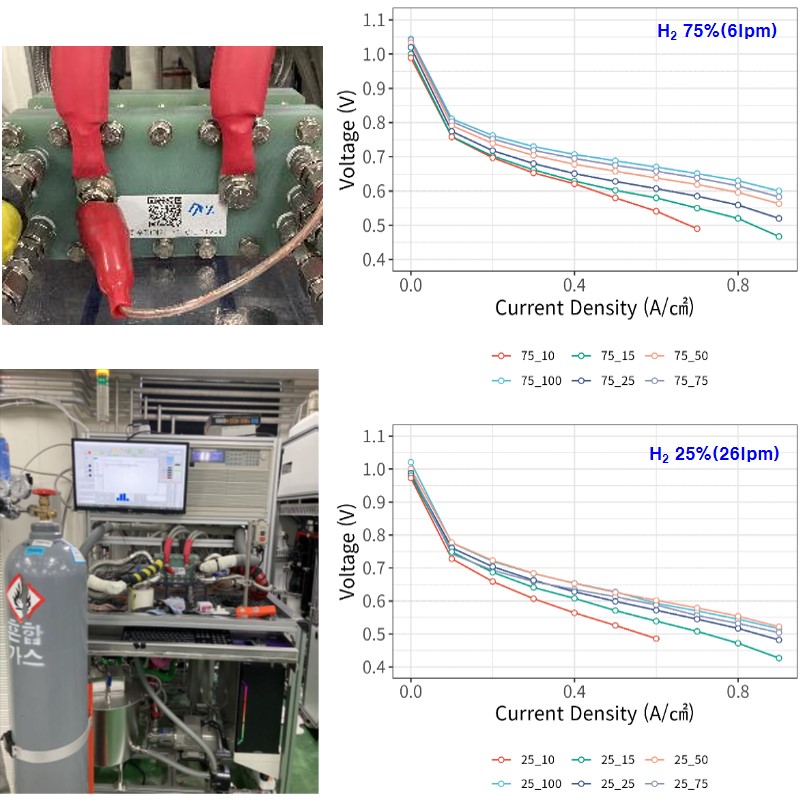 Study on Dummy Cell Operation Methods for Stable Operation of ...