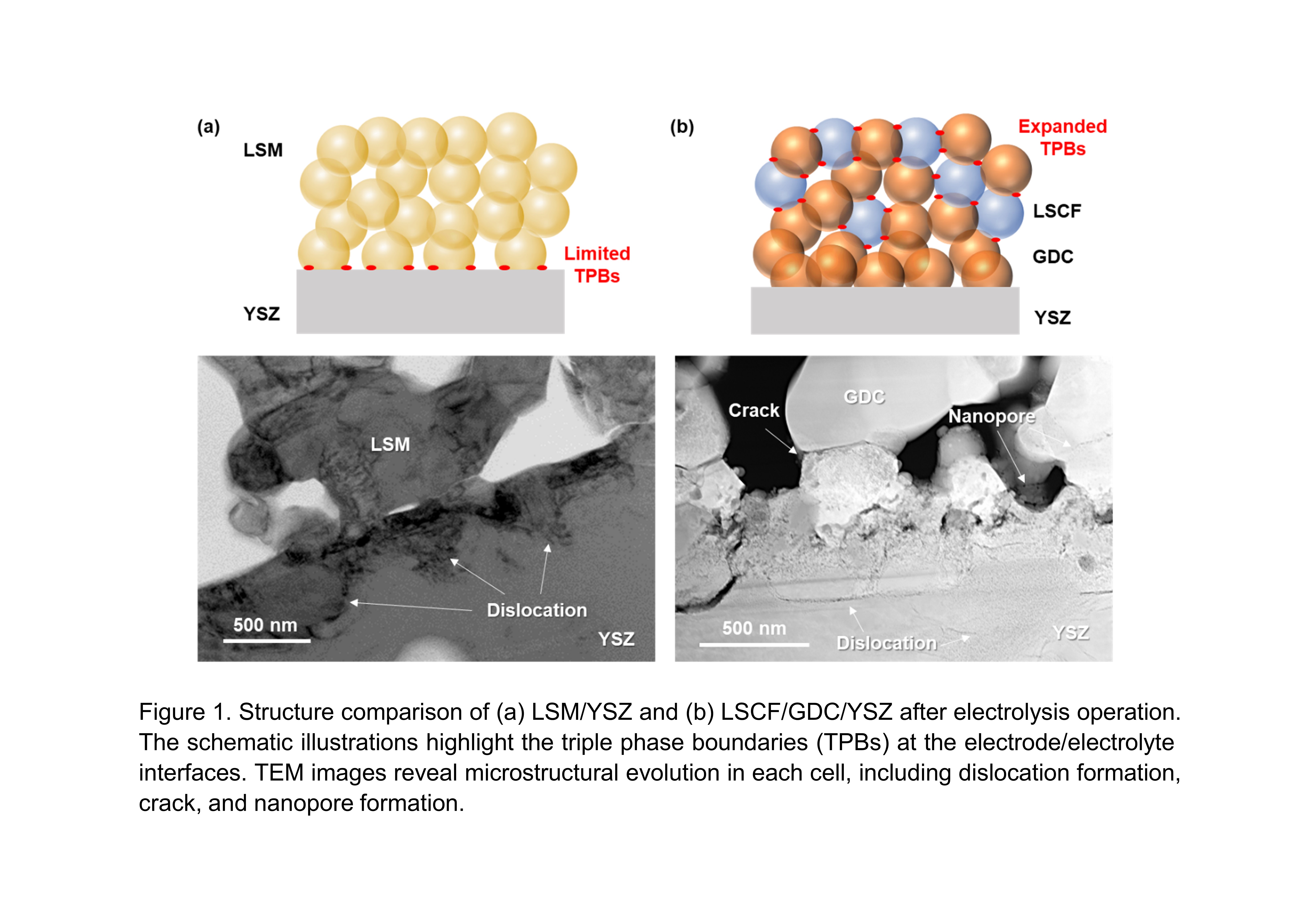 Nanoscale Degradation Mechanisms of Solid Oxide Electrolysis Cells with ...