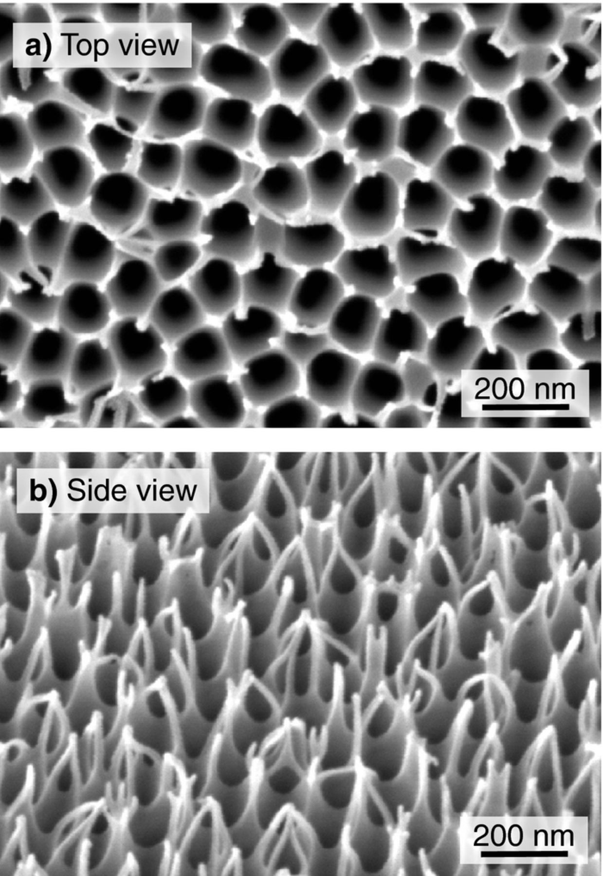 Highly Ordered Anodic Alumina Nanofibers Fabricated via Two Distinct ...