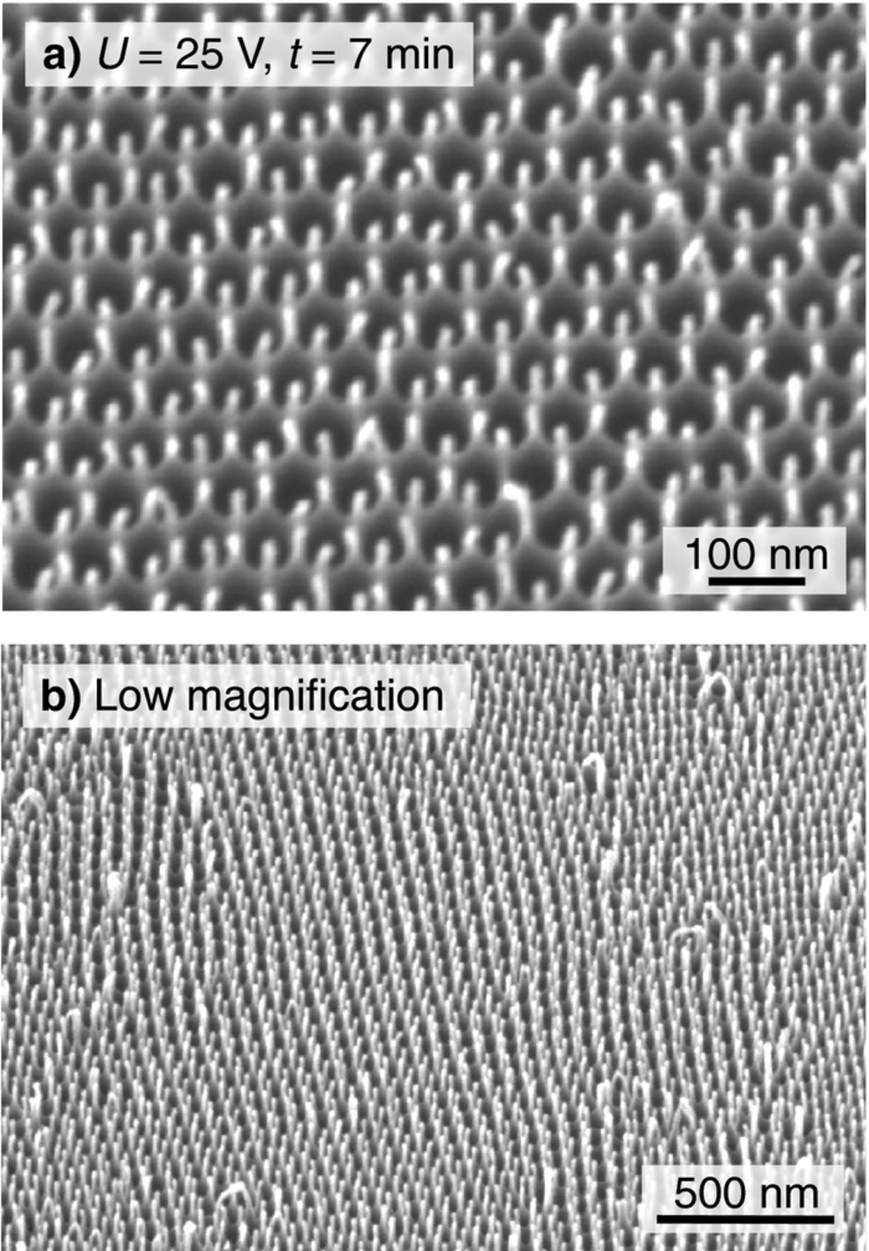 Highly Ordered Anodic Alumina Nanofibers Fabricated via Two Distinct ...