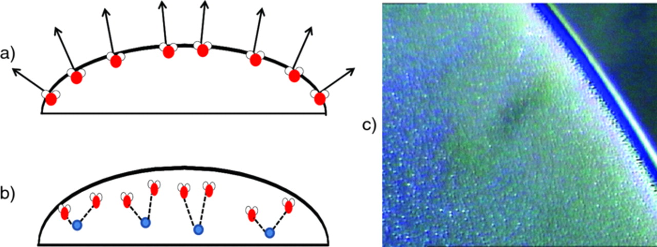 Dynamics of the Drying Defects Left by Residual Ultra-Pure Water ...
