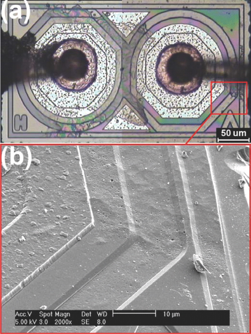 Fast Etching of Molding Compound by an Ar/O2/CF4 Plasma and Process ...