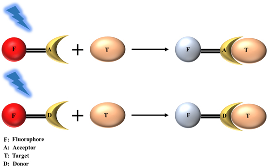 Review—Design and Synthesis of Fluorescence Sensing Metal-Organic ...