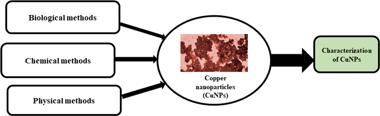 Review—Multifunctional Copper Nanoparticles: Synthesis and Applications ...