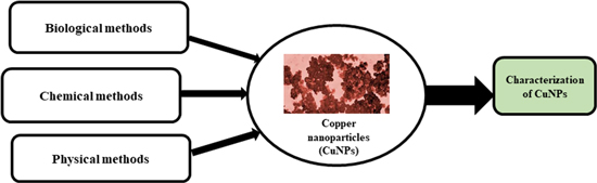 Review—Multifunctional Copper Nanoparticles: Synthesis and Applications ...