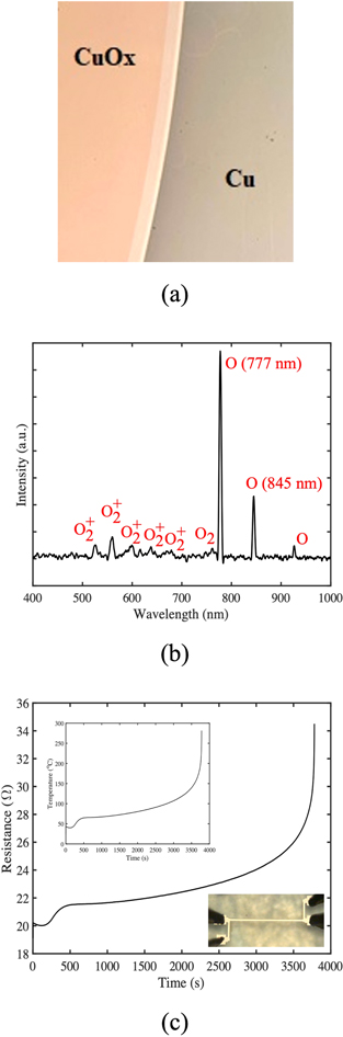 Communication—Exploration of Plasma Oxidized Copper Oxide as a Copper ...