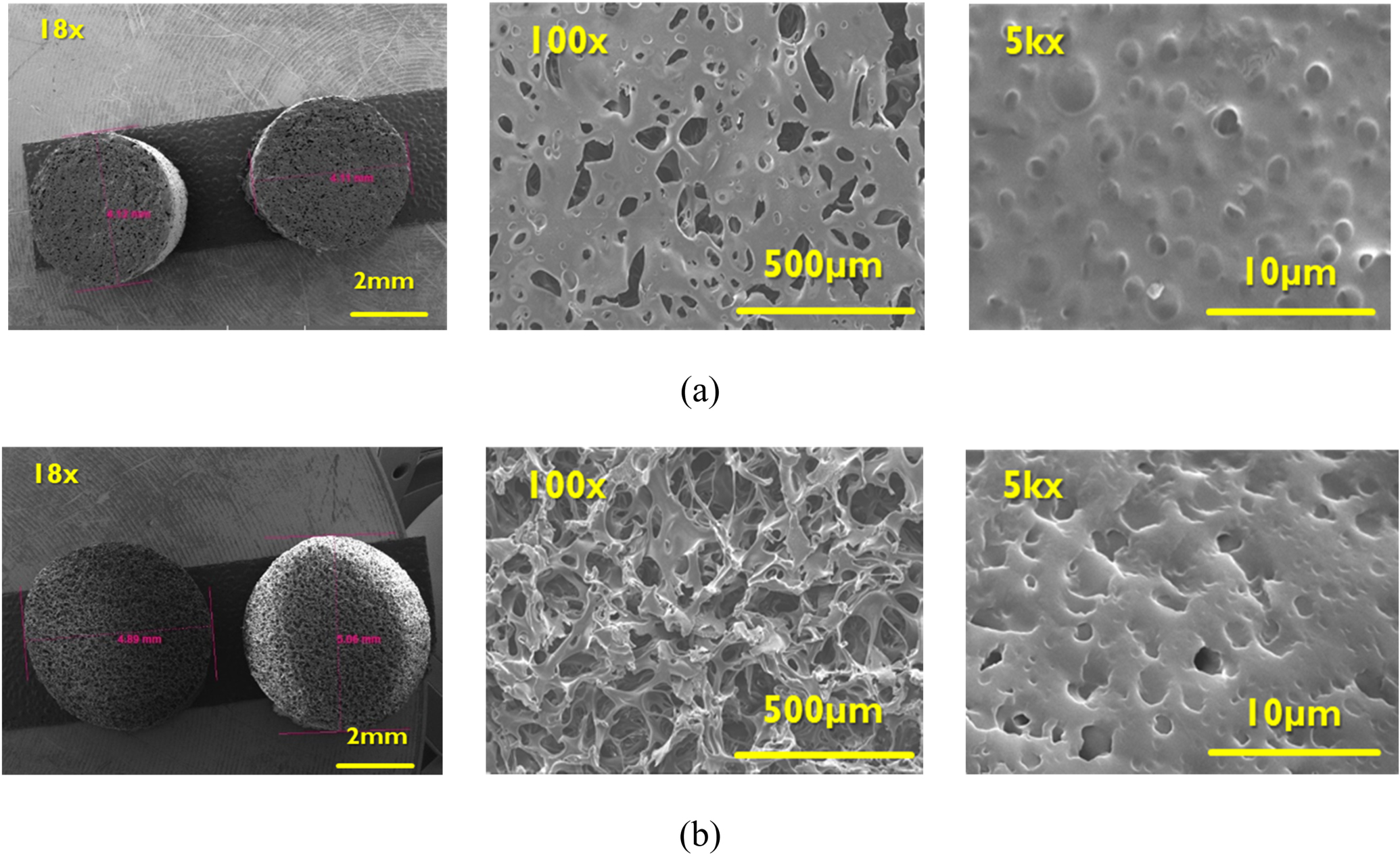 Effect of Skin Layer on Brush Loading, Cross-Contamination, and ...