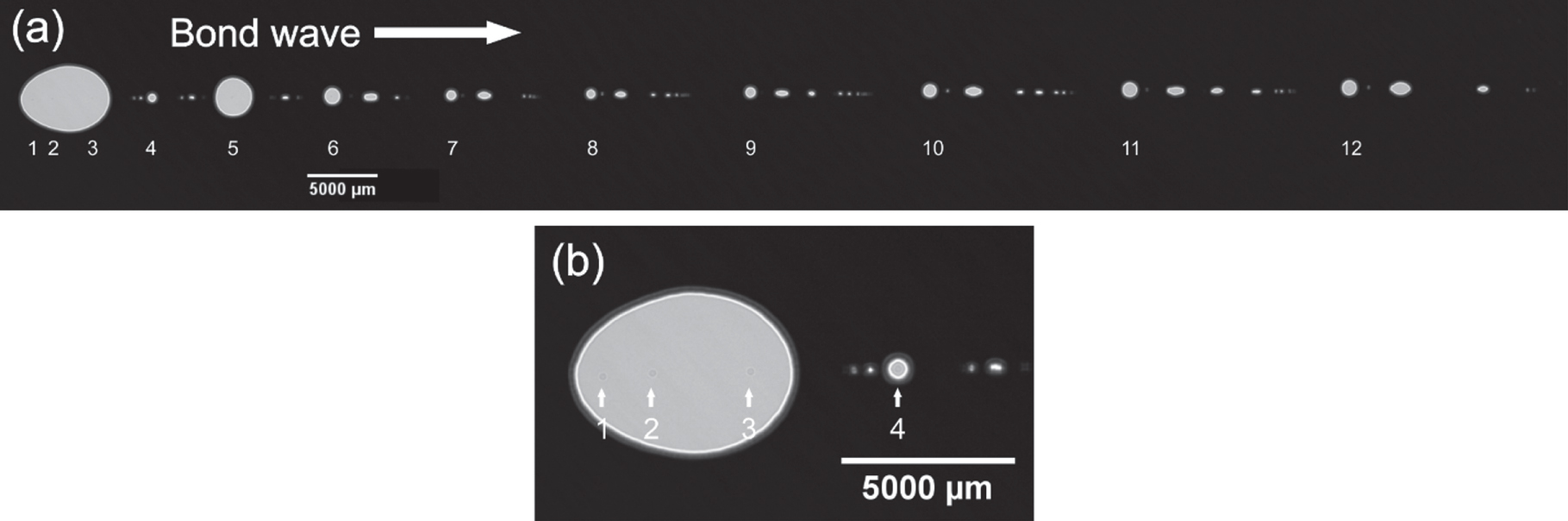 Void Formation Mechanism Related to Particles During Wafer-to-Wafer ...