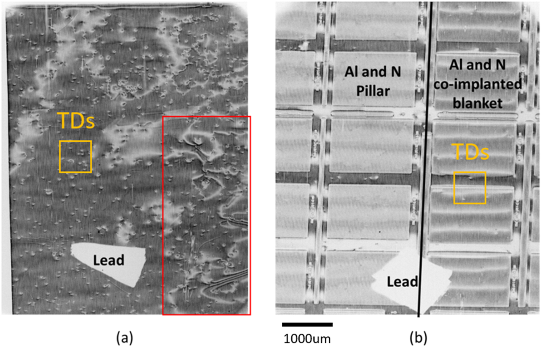Effect of Annealing Conditions on Recovery of Lattice Damage in a High ...