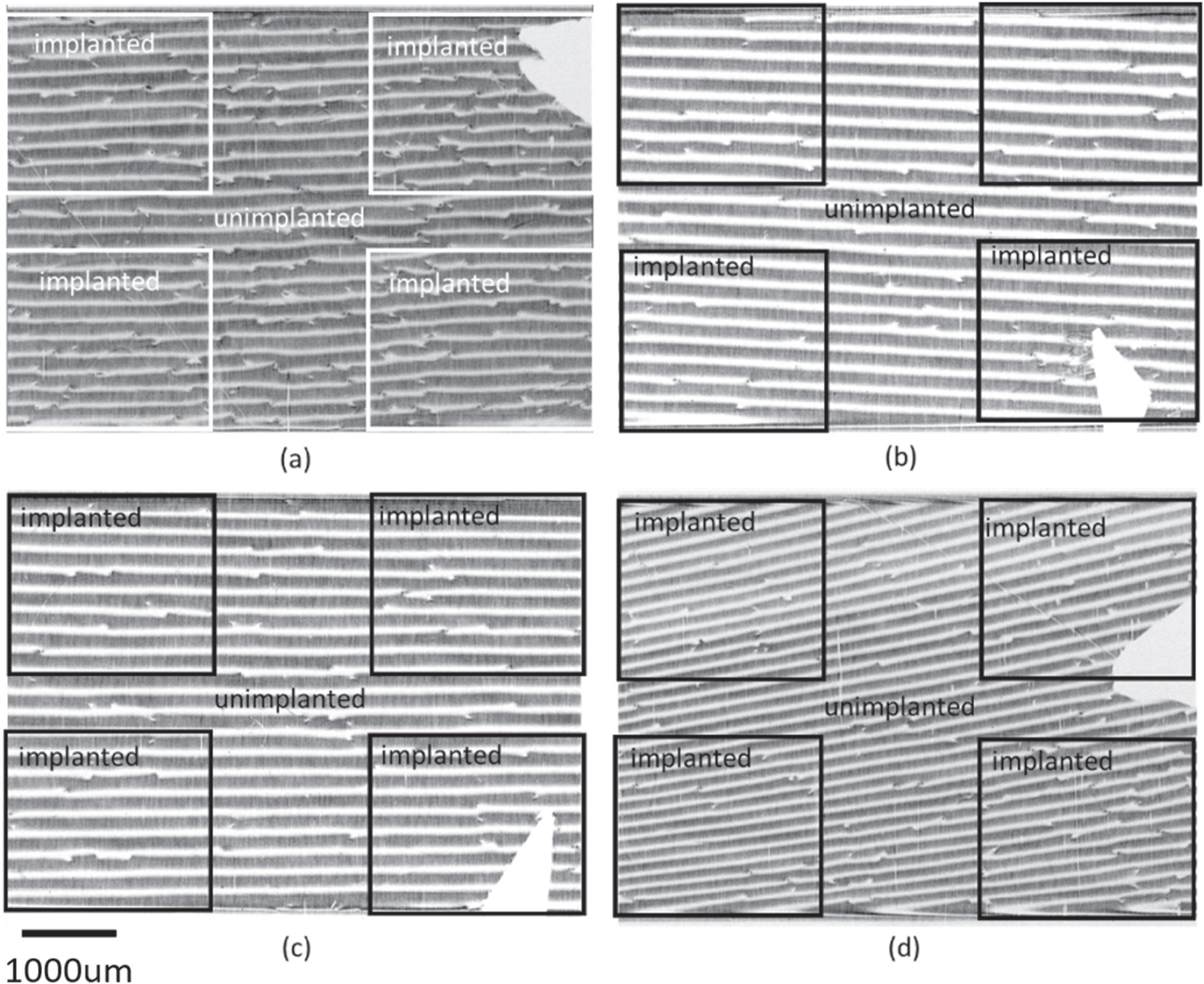 Effect of Annealing Conditions on Recovery of Lattice Damage in a High ...