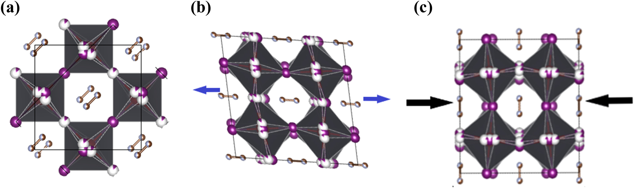 HPMC-Mediated ZnCl2 Doping Possible Substitution of Pb2+ for ...