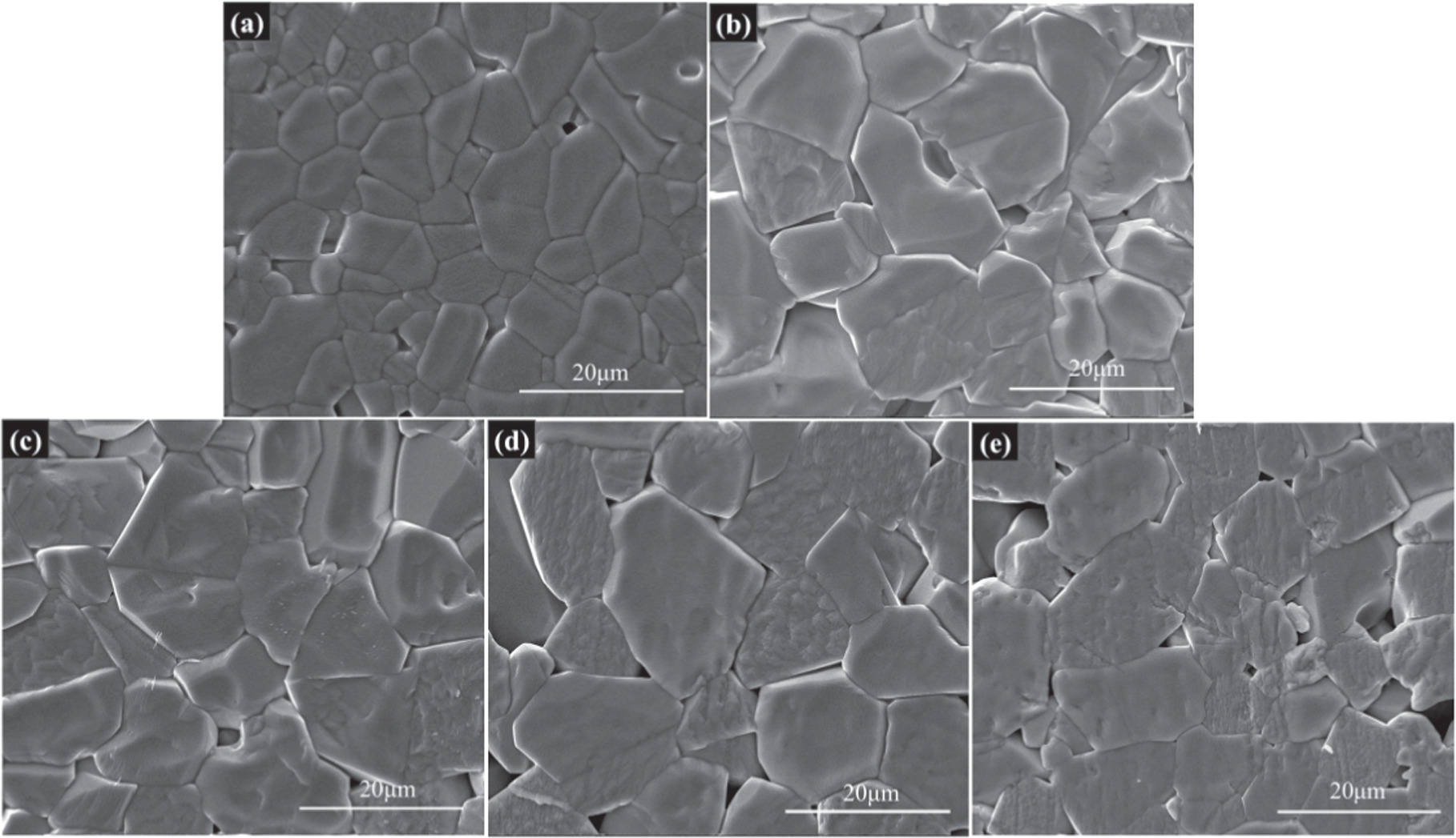 Dielectric Performance of DC Electric Field-Assisted Flash Sintered (Sr ...