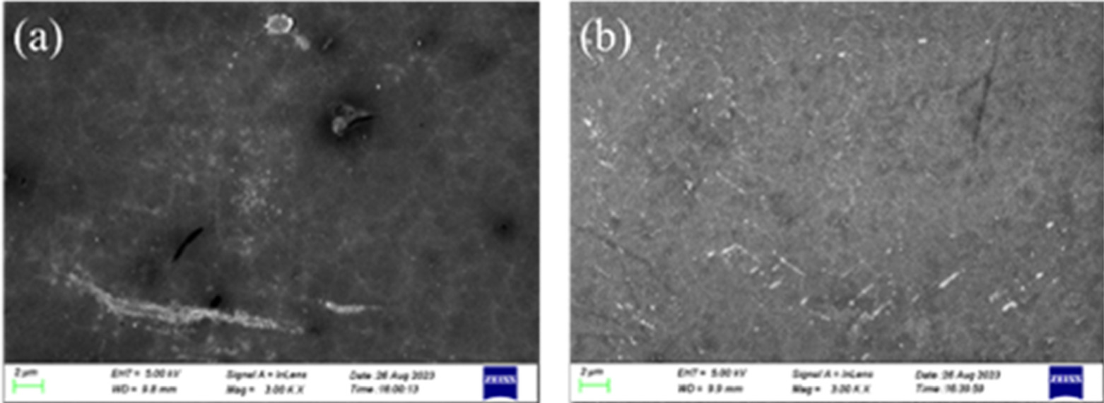 Insight on Surface Changes Post Chemical Mechanical Polishing (CMP) of ...