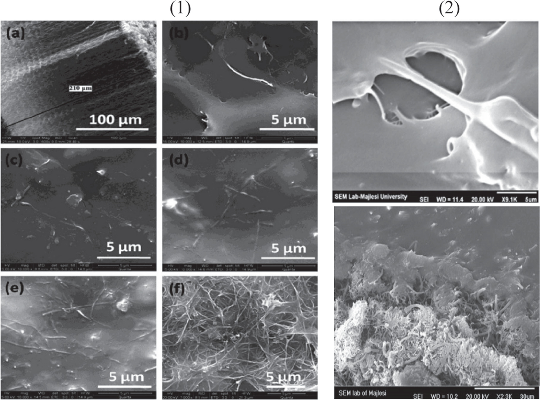 Review—Advances in PVC-Based Blend Nanocomposites - IOPscience