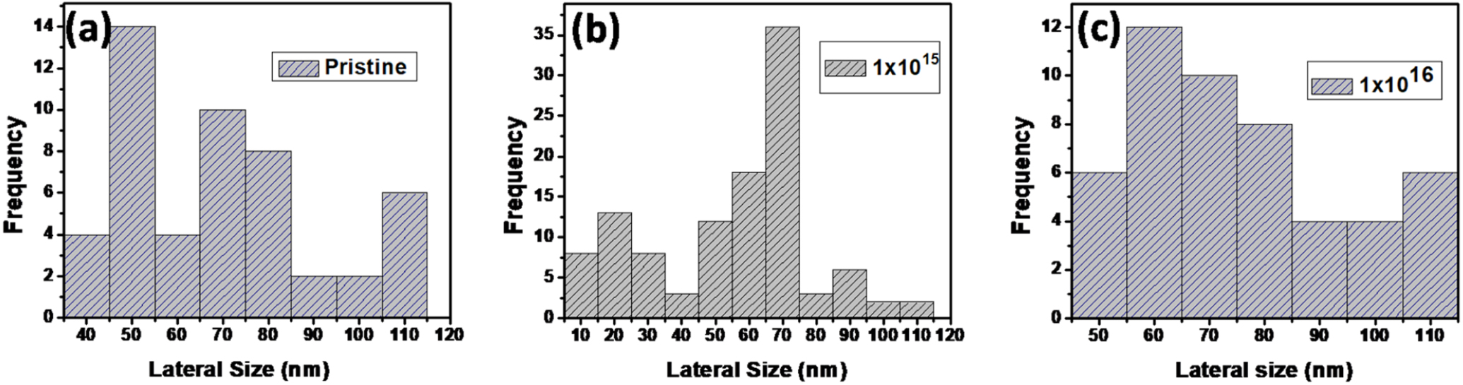 SERS Detection of Rhodamine-6G on Ion Beam Nanostructured Ultra-Thin ...