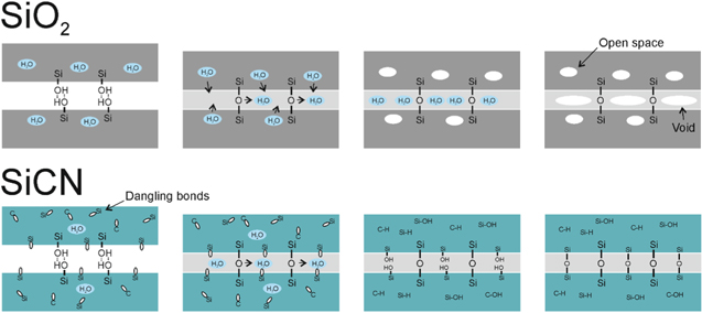 Origin of Voids at the SiO2/SiO2 and SiCN/SiCN Bonding Interface Using Positron Annihilation ...