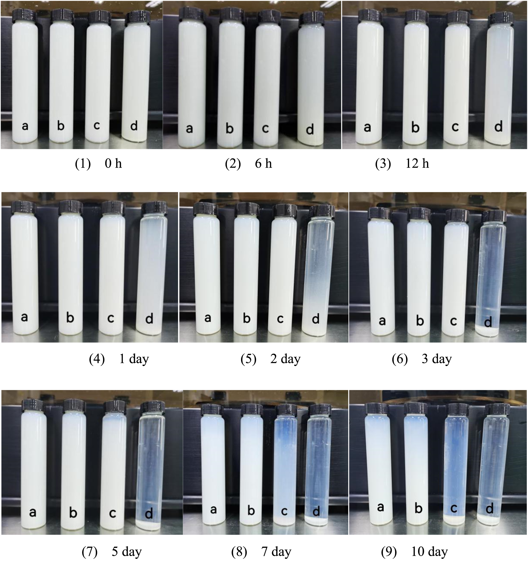 Improving the Dispersion Stability and Chemical Mechanical Polishing ...