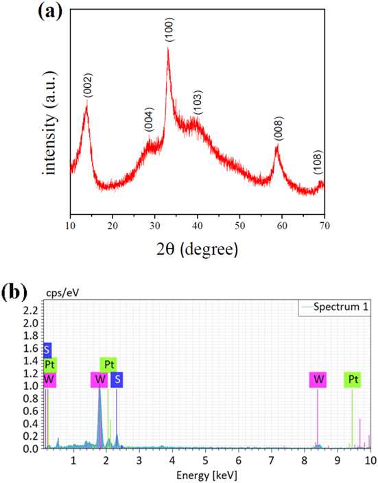 WS2-Pt Nanostructure-Based Composite for Hydrogen Gas Sensing with Ultra-Fast Response and ...