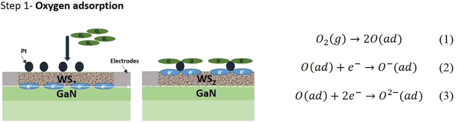 WS2-Pt Nanostructure-Based Composite for Hydrogen Gas Sensing with ...