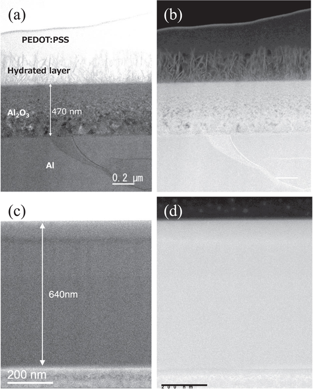 Structure and Electric Properties of Anodized Aluminum with PEDOT:PSS ...