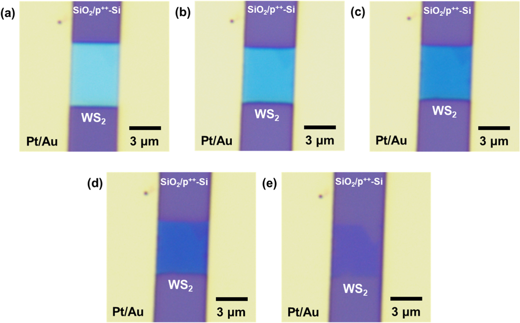 Editors' Choice—Atomic Layer Etching of Tungsten Disulfide Using Remote ...