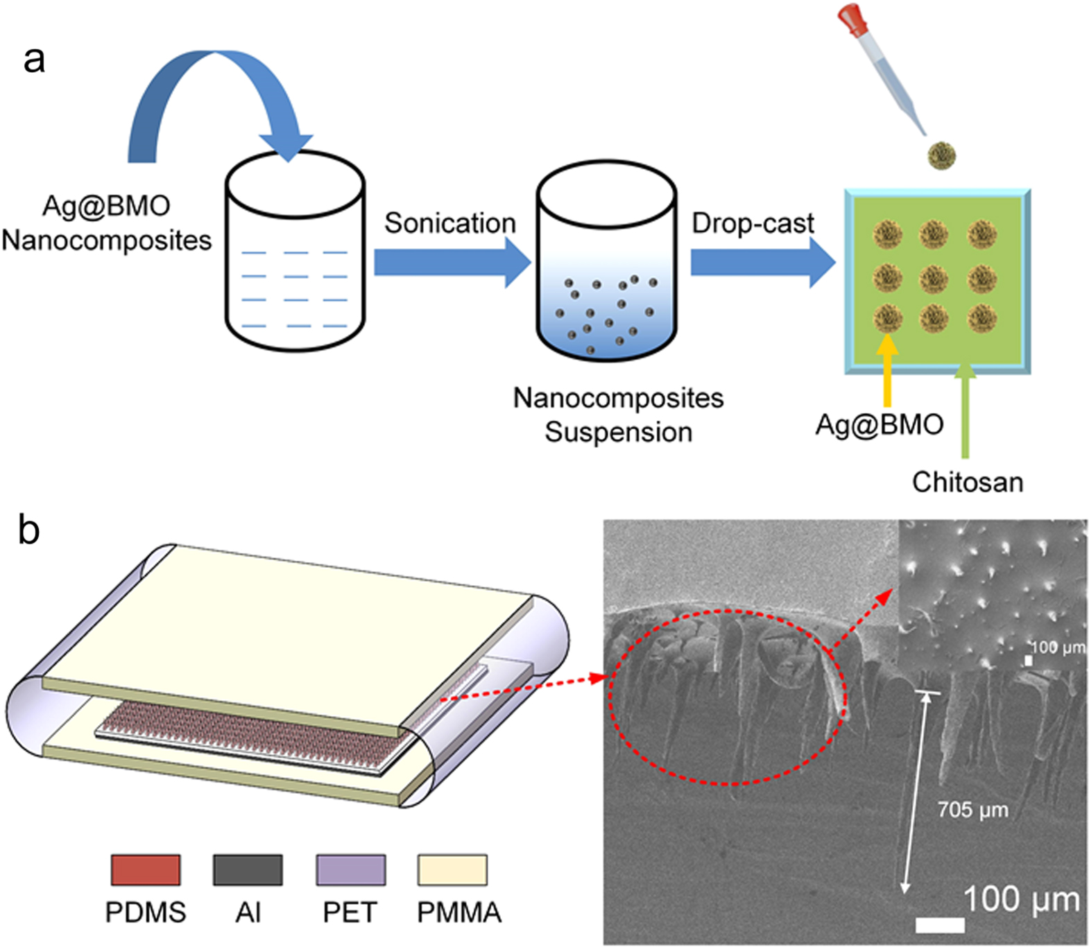 An Eco-Friendly and Dual-Functional Ag@BMO-Chitosan-Based Triboelectric Nanogenerator for Self ...